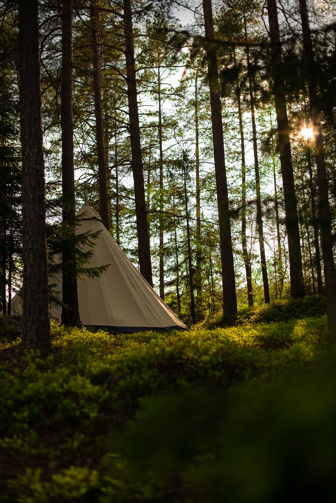 Venor Lavvo – Arcticlavvo